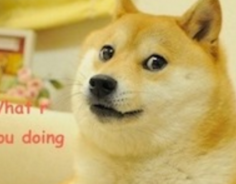 Chloe Nowak (CliN04) profile | Padlet