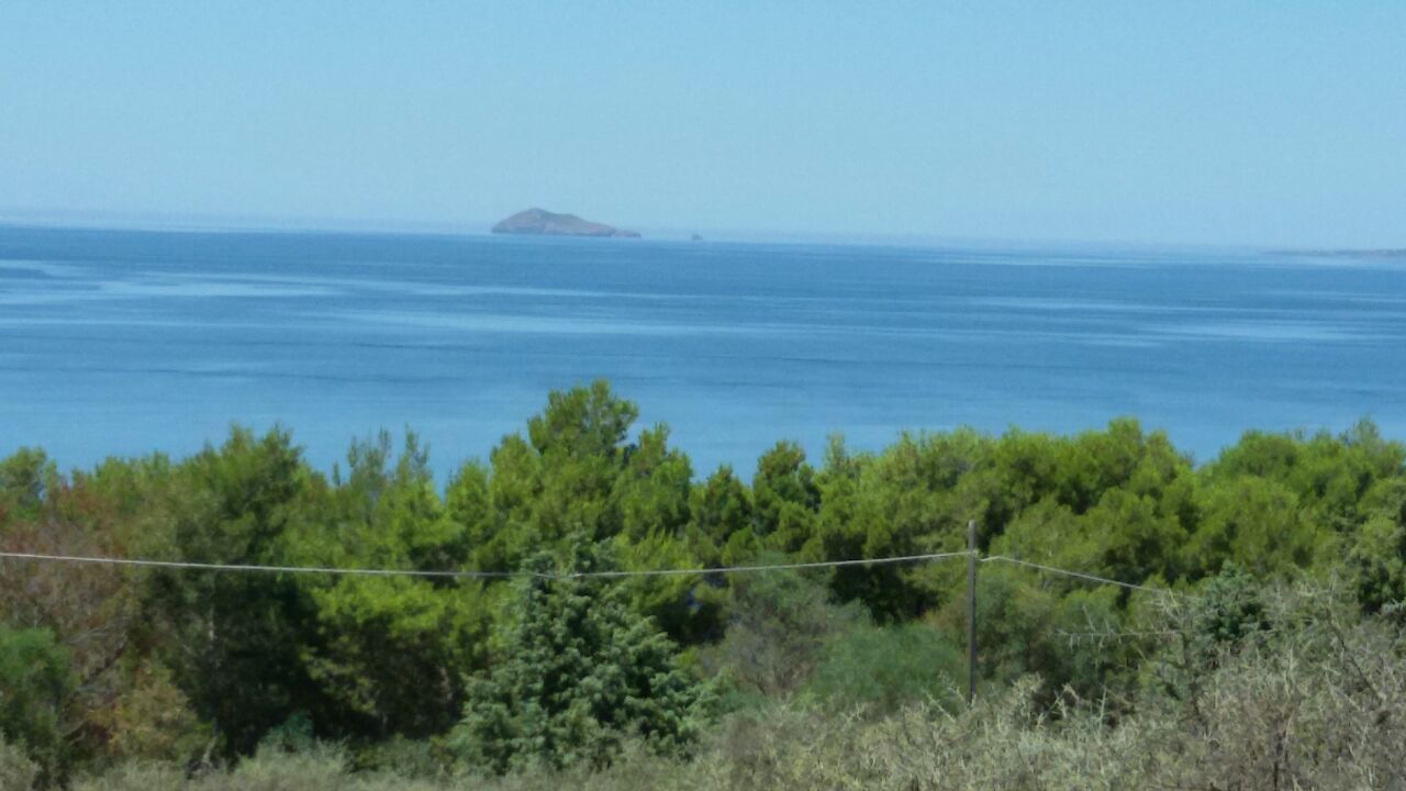 Concas Matteo (72459) profile | Padlet