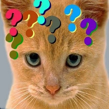 Luke Beale (l_beale) profile | Padlet