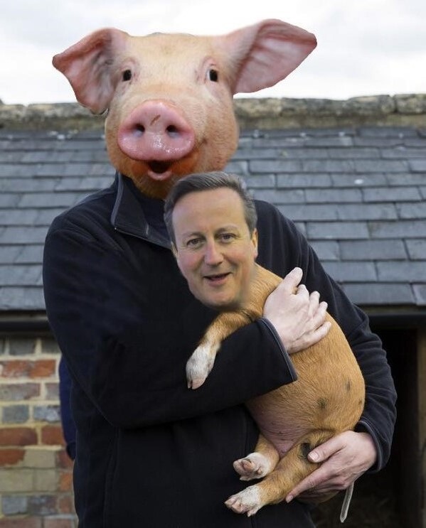 Peter Moles (petermoles1) profile | Padlet