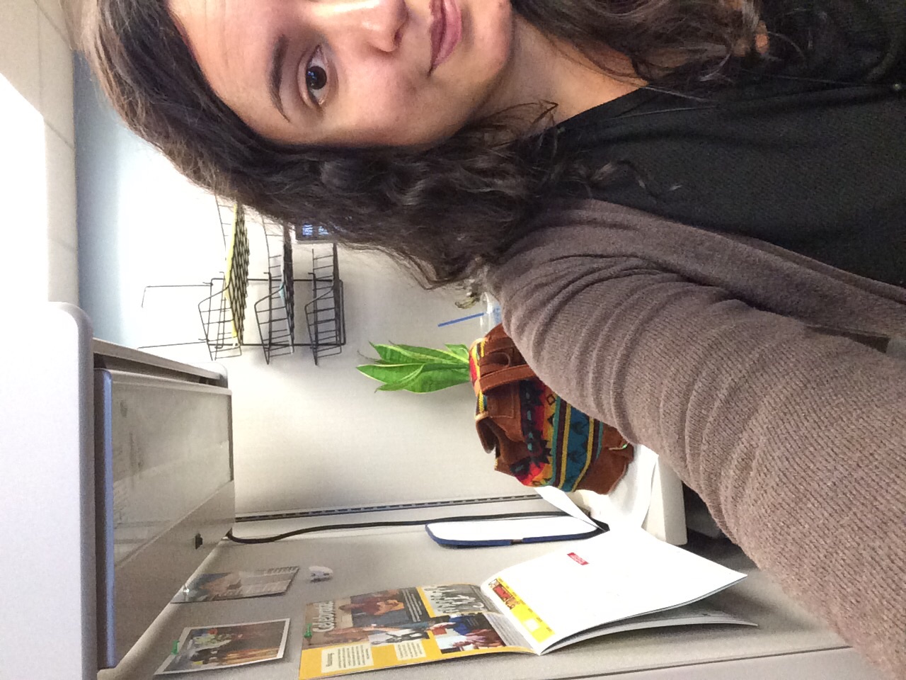 Maria (maria_villarreal) profile | Padlet