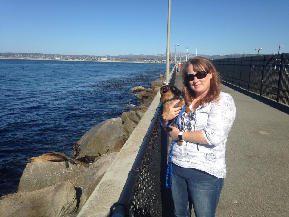 April Meyer (ameyer18) profile | Padlet