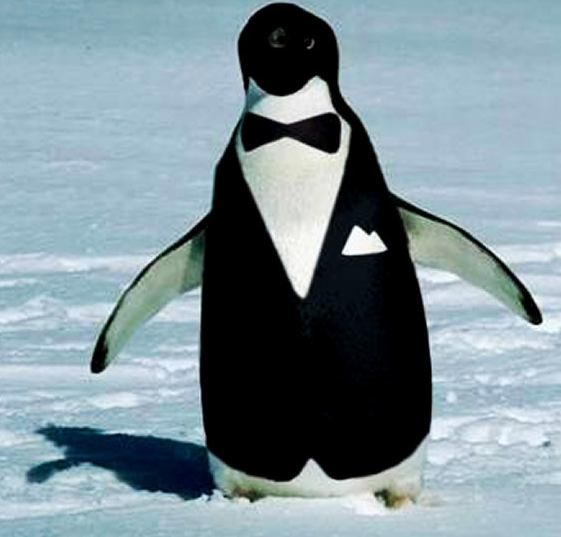 Travis Pence (penctn) profile | Padlet