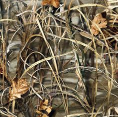 Nicholas Pennell (12060242) profile | Padlet