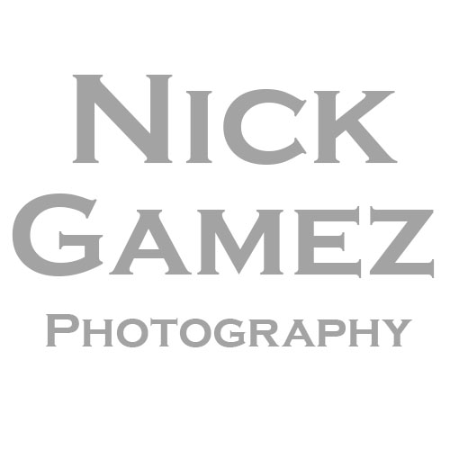 Nicholas Gamez (gameznick3219) profile | Padlet