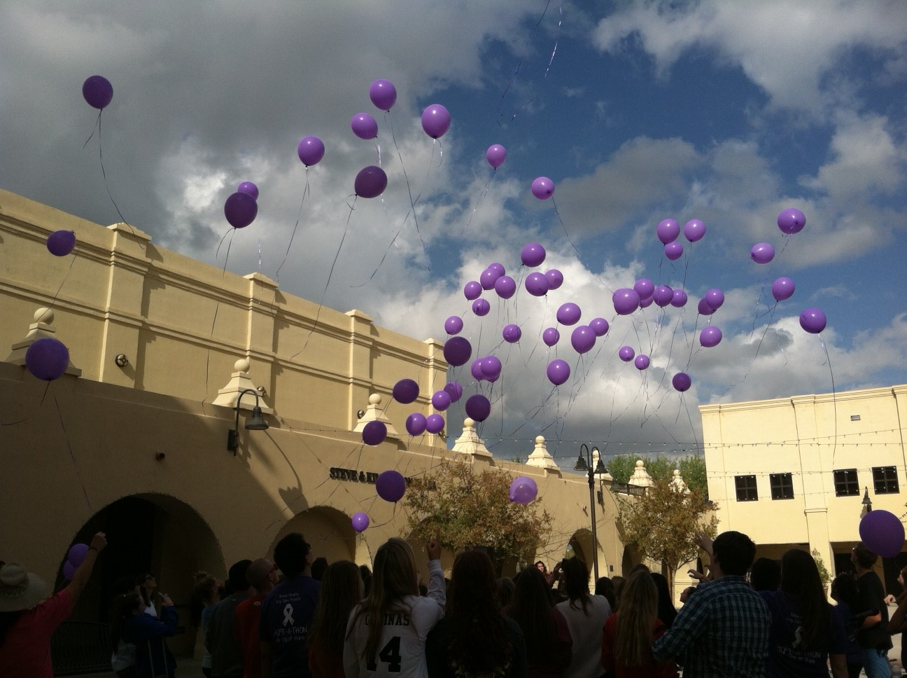 Alison Mead (amead3) profile | Padlet