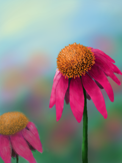 Tanya (13bernta) profile | Padlet