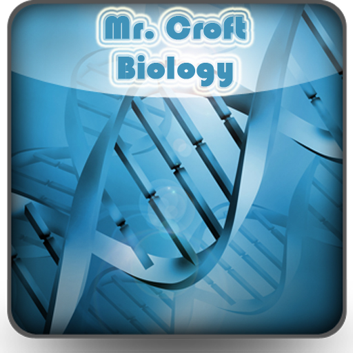 Mr. Croft (croftm) profile | Padlet