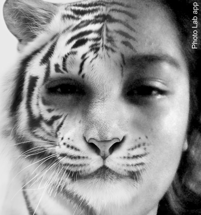 MANUTAHI Aude (aude4110000574) profile | Padlet