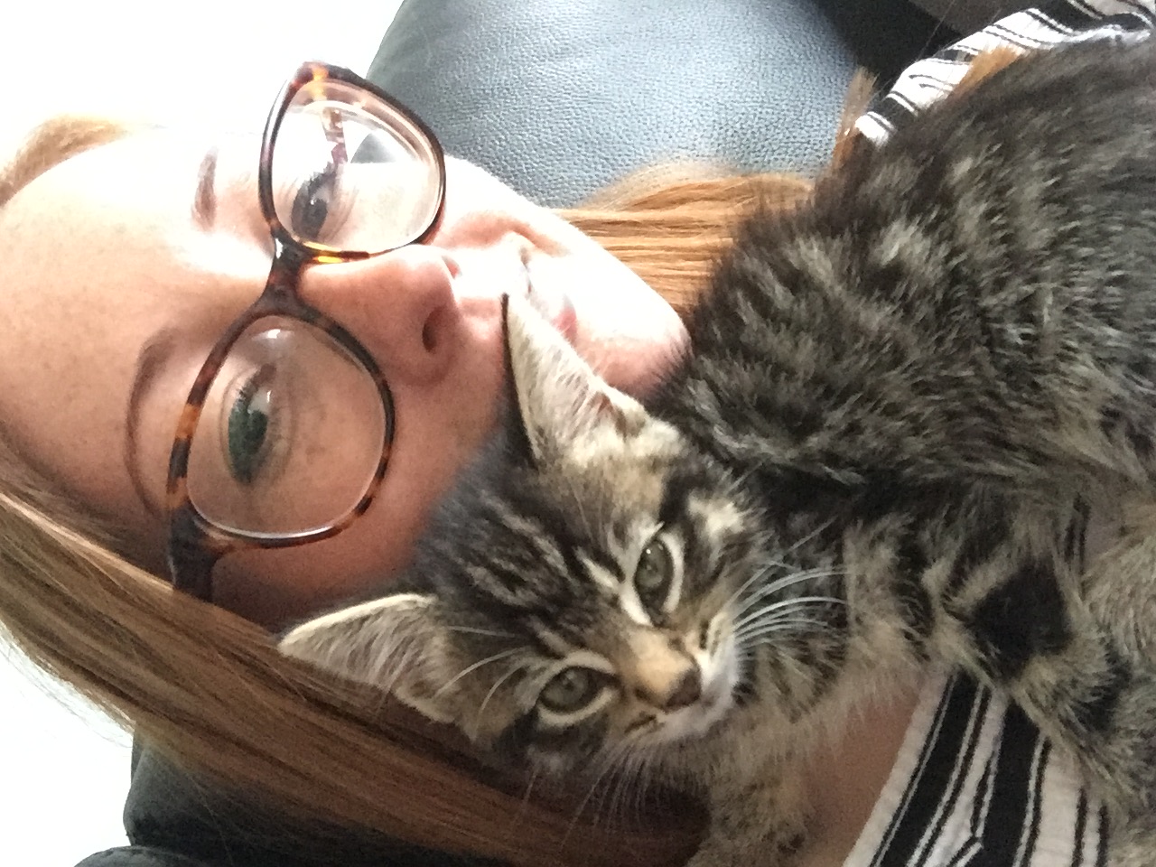 Sarah Benbow (sarah_benbow) profile | Padlet