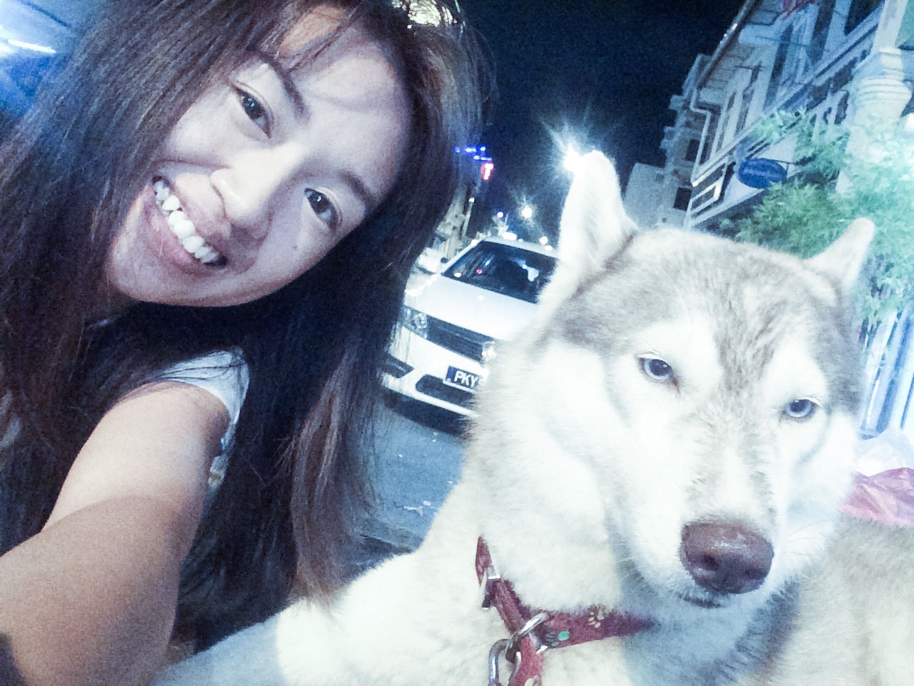 Mimi Mimo (MimiMimo) profile | Padlet