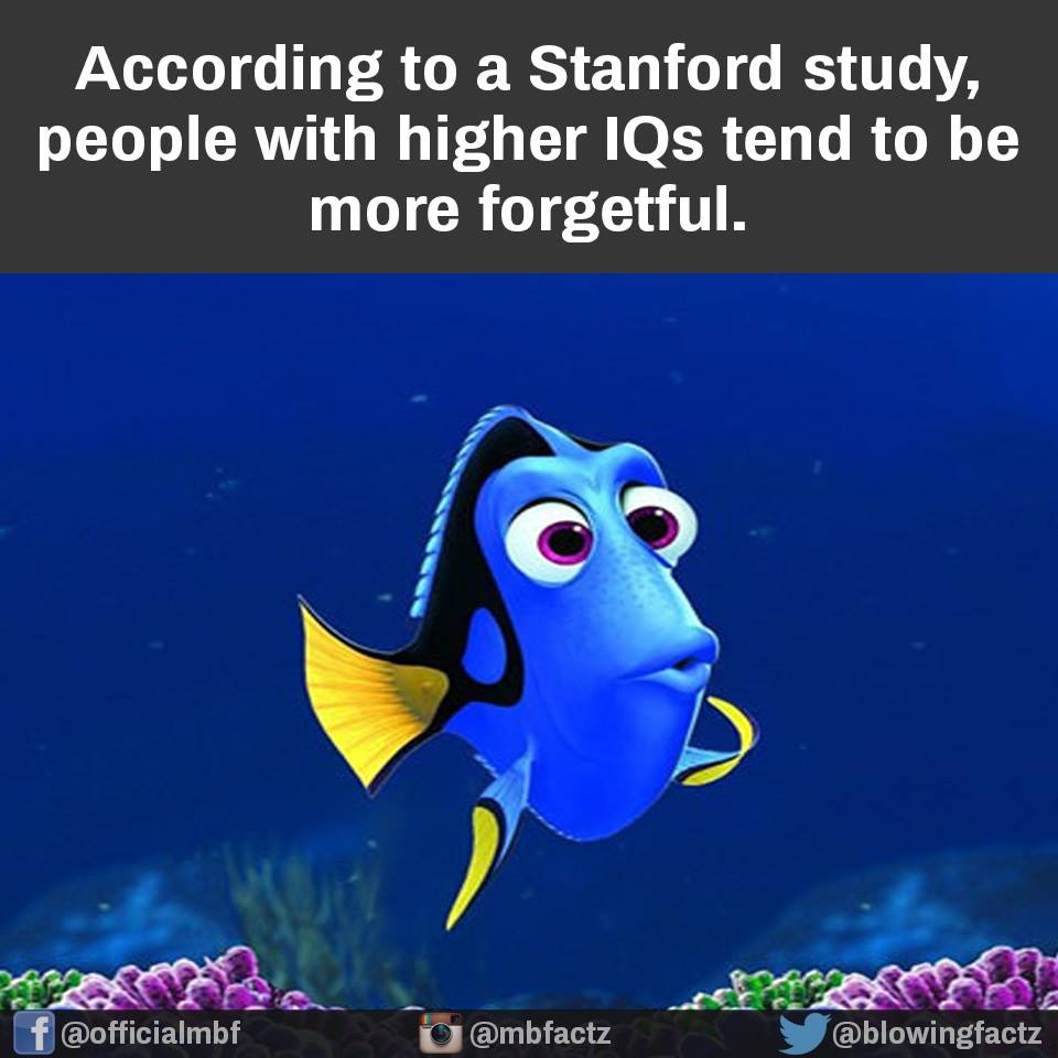 Todd Beard (tmbeard) profile | Padlet