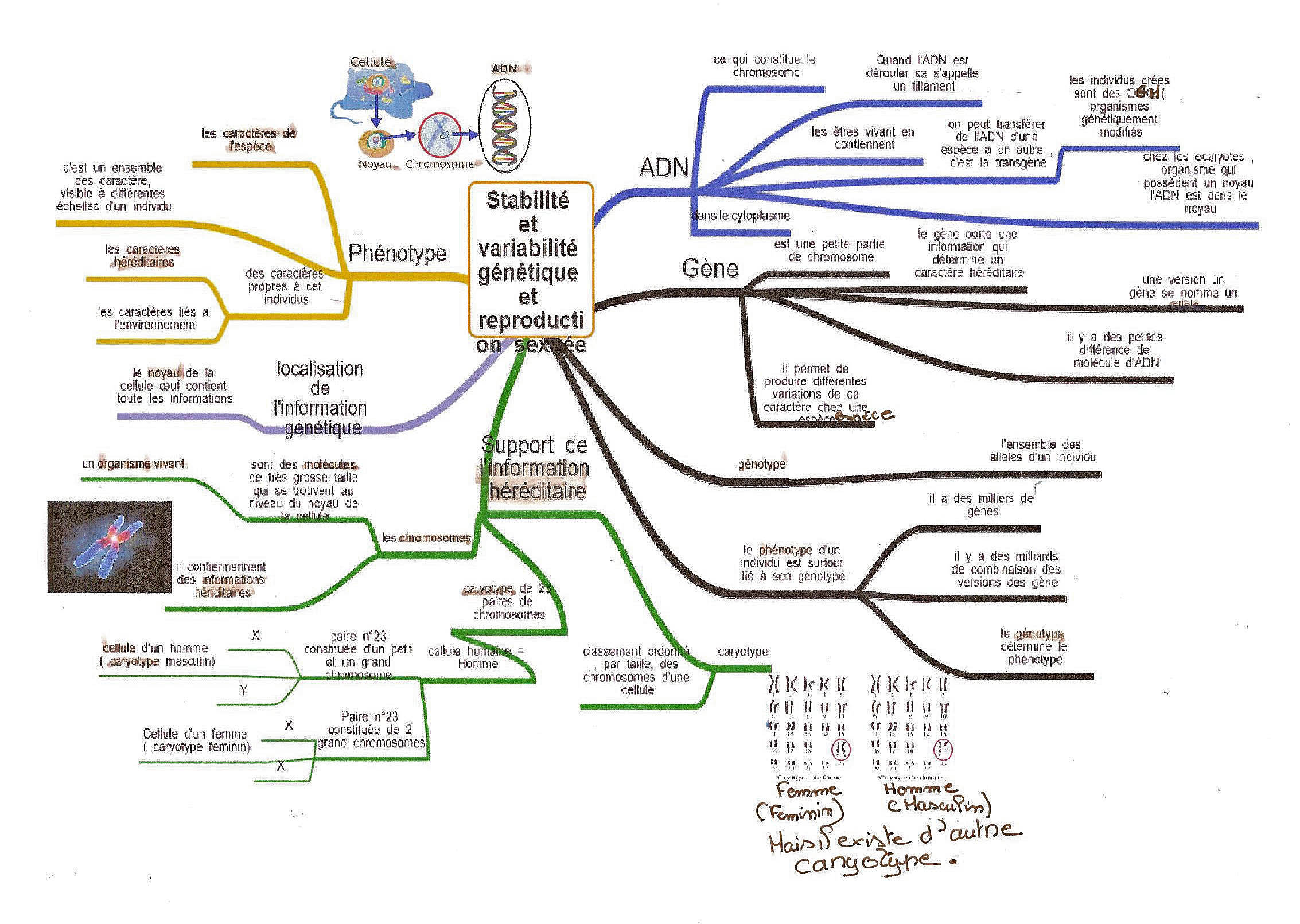 SVT 3ème. Partie " le vivant et son évolution". P.Abgrall