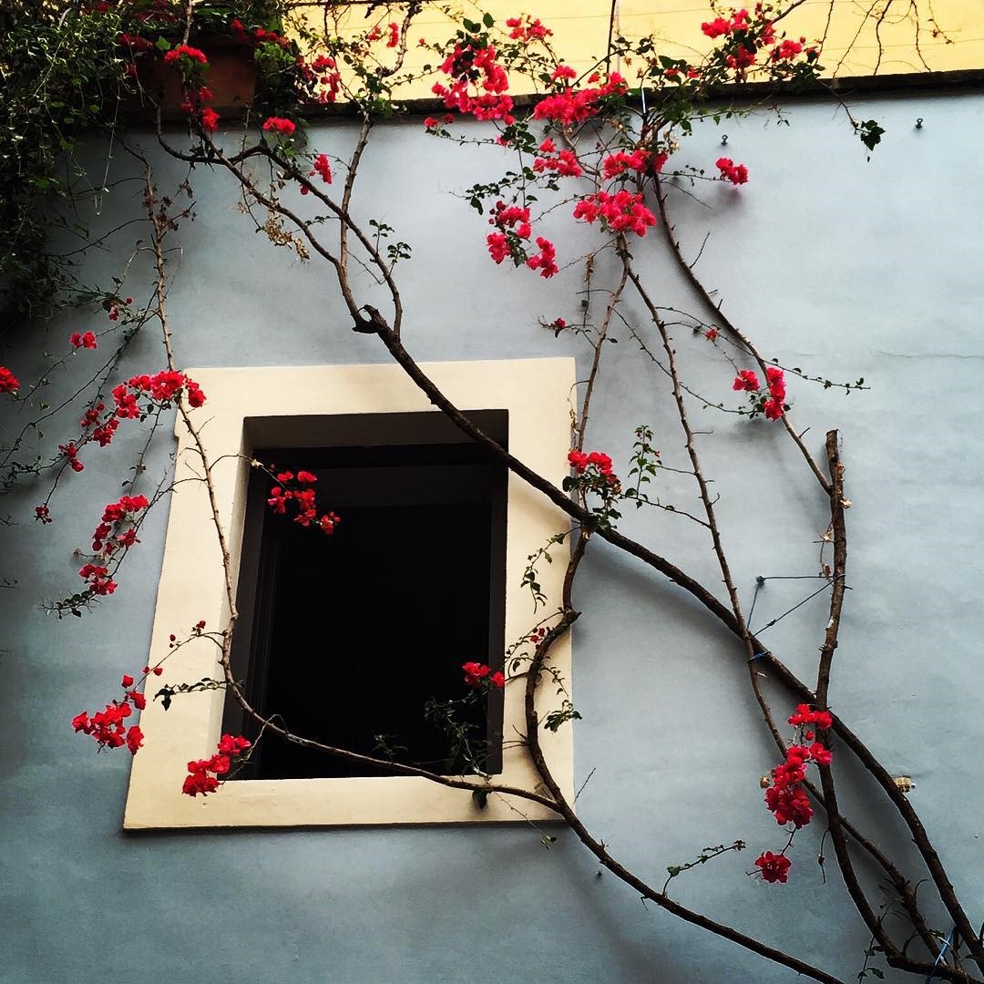 Kate Gerrard (lovekats1) profile | Padlet