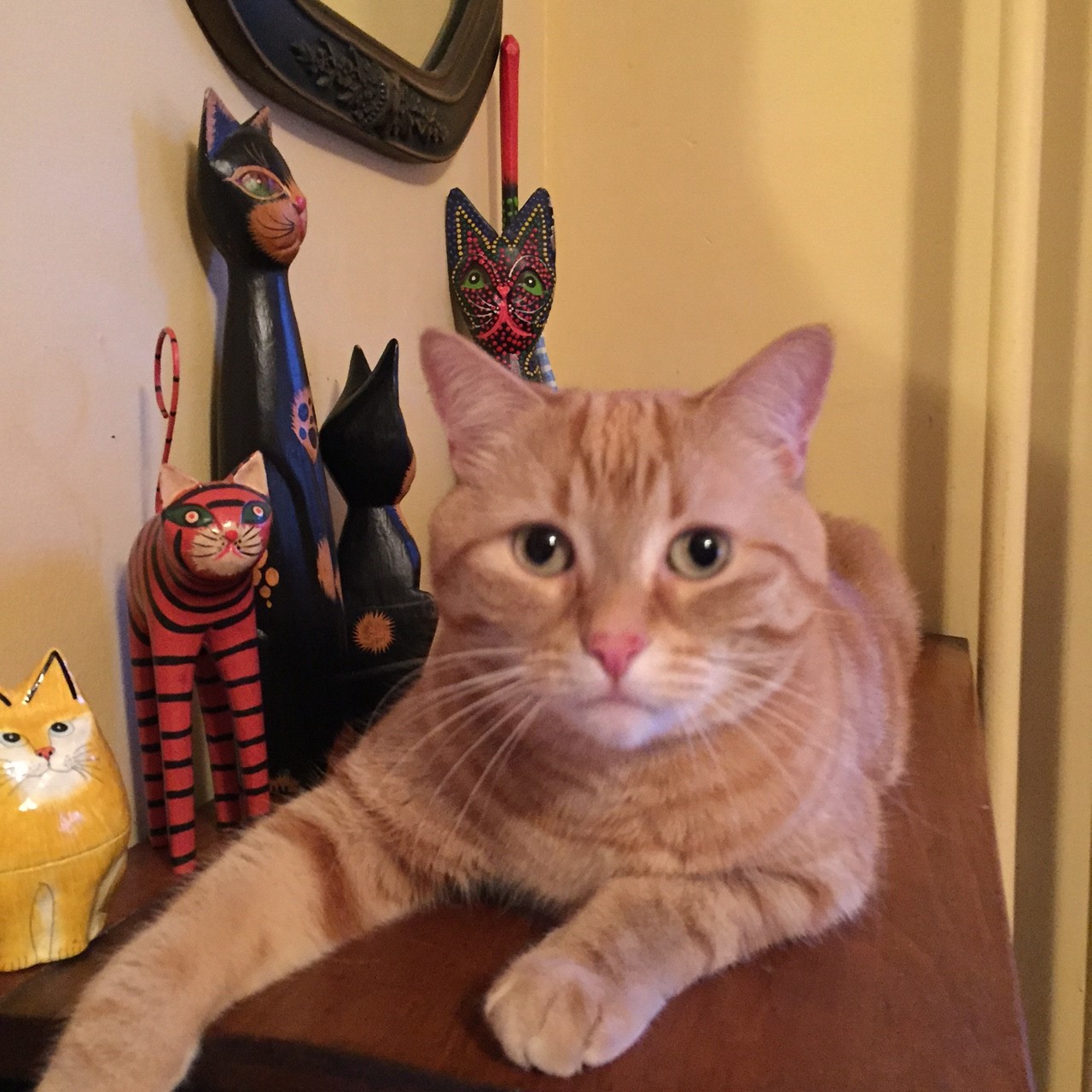 Susan Edgar (susan_edgar) profile | Padlet