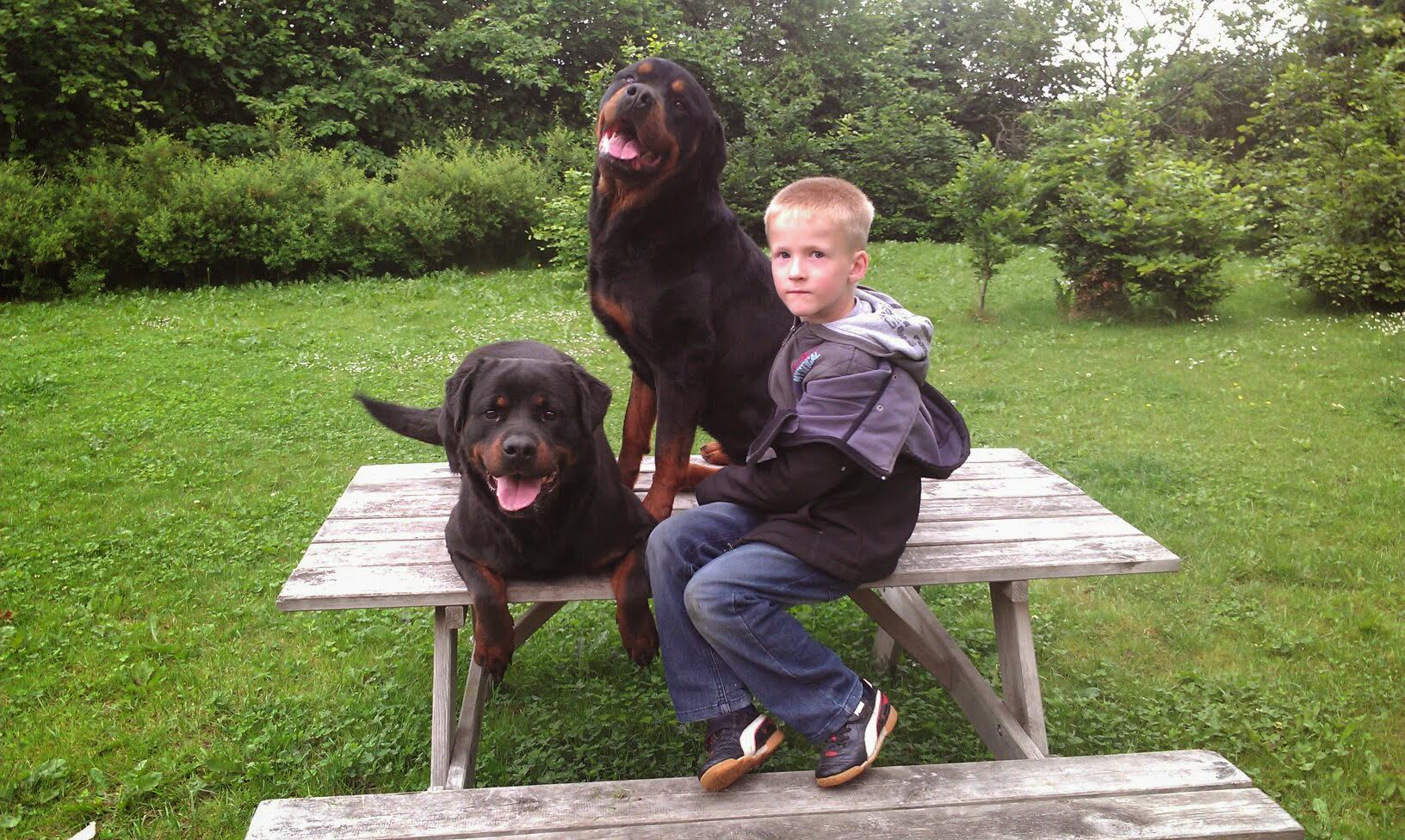 Sune Lund Jensen (Sune_Lund_Jensen) profile | Padlet