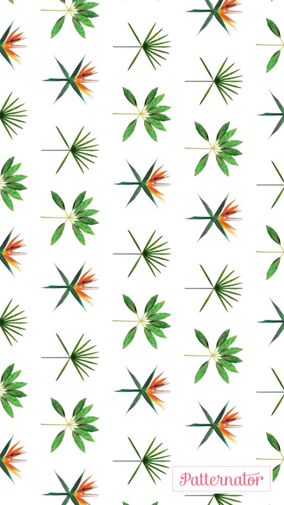 Divya Balachandran (stardivya99) profile | Padlet