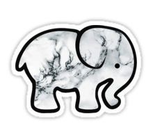 Charlie Tatman (146210) profile | Padlet