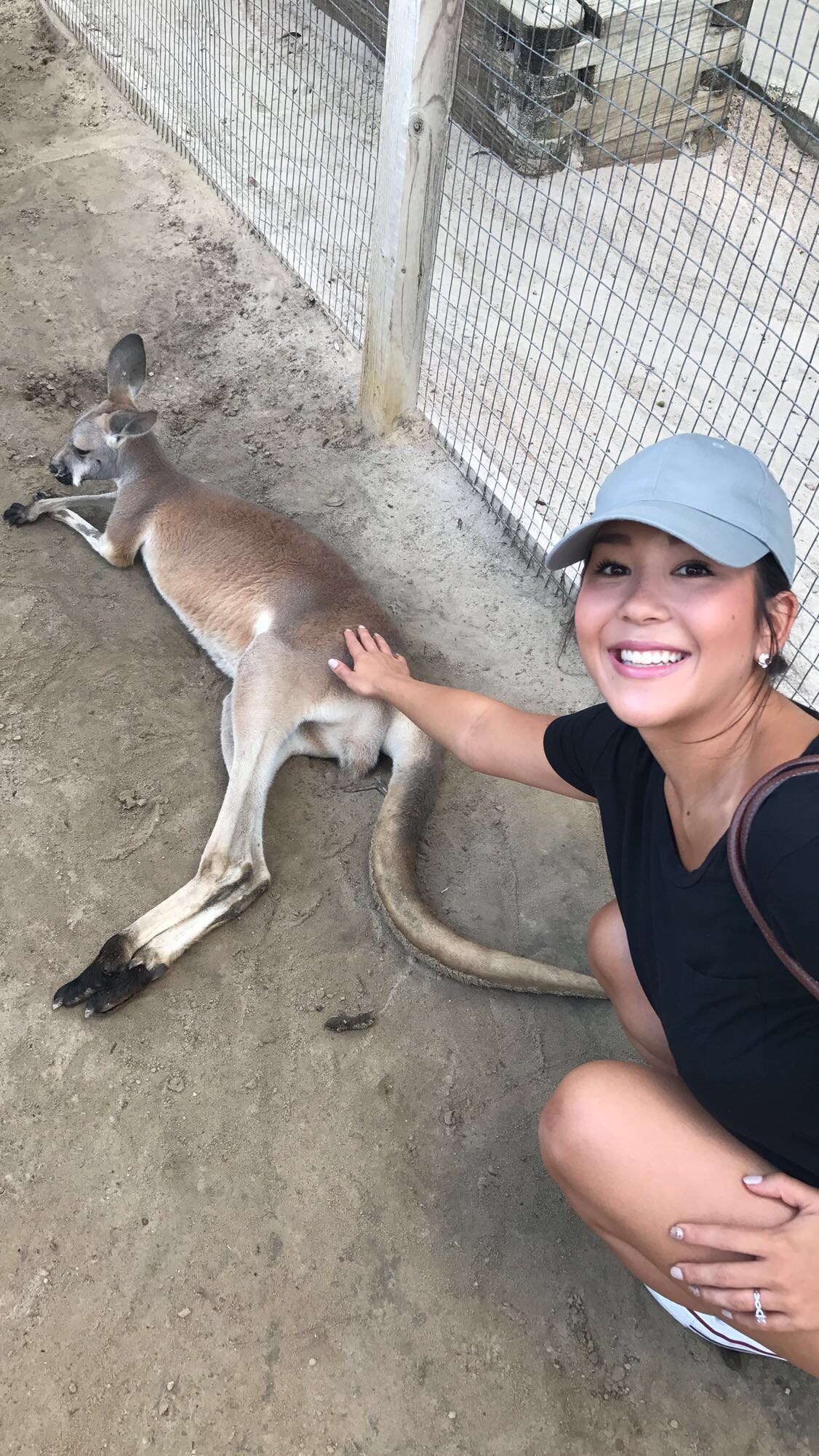 Laura Titus (titusl) profile | Padlet