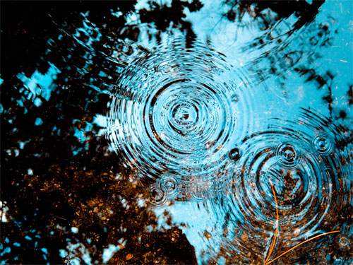 Emily Tieu -20 (etieu20) profile | Padlet