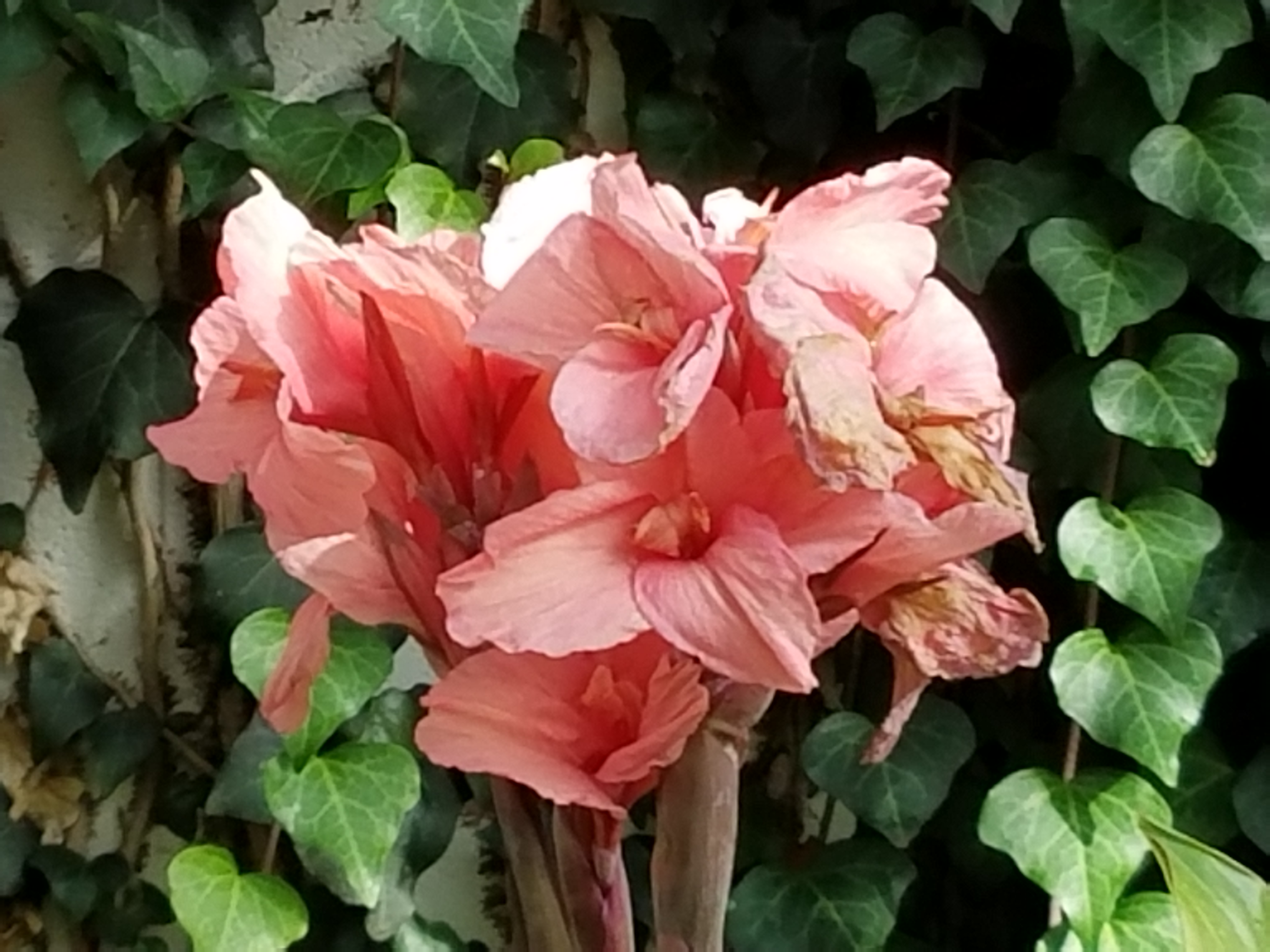 Brian Apgar (apgarb) profile | Padlet