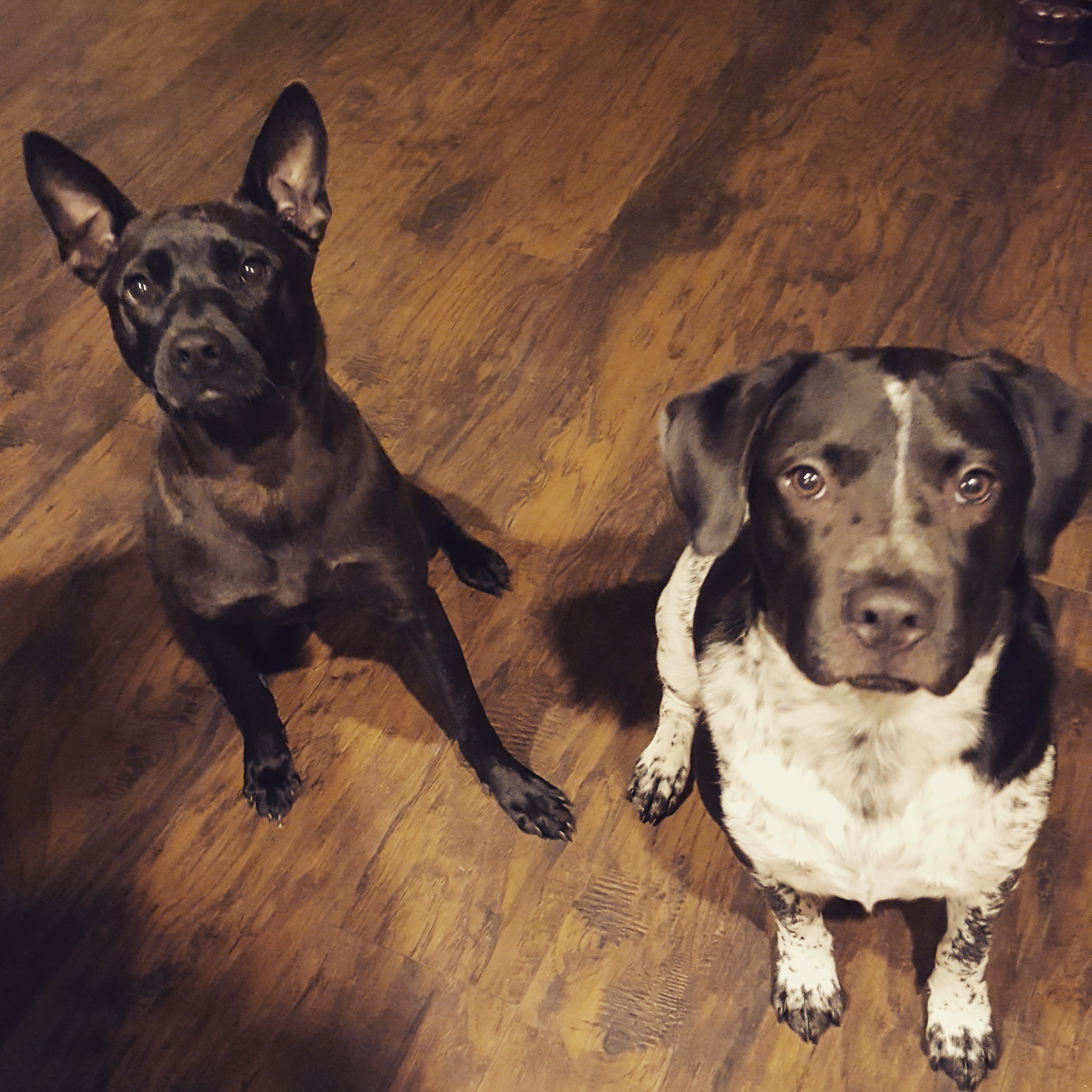 Michelle Czajkowski (mbonnetti) profile | Padlet