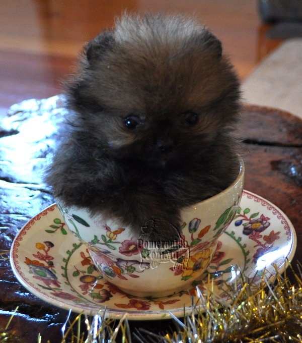 Alexis Mimms (40000447) profile | Padlet