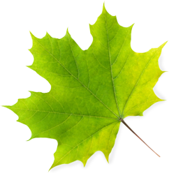 Daniel Malick (d_malick) profile | Padlet