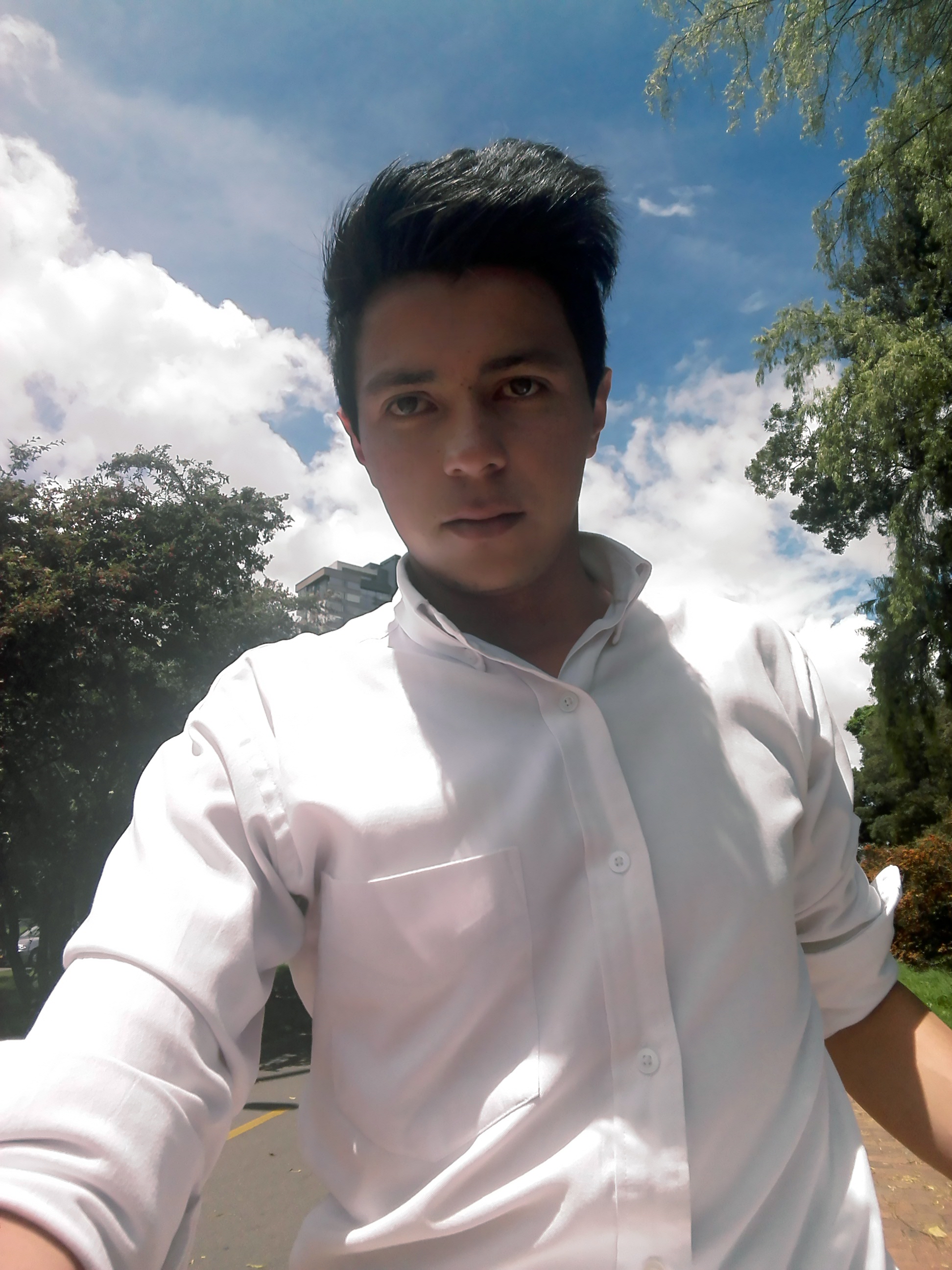 CESAR ANDRES CASTIBLANCO MESA (ccastiblancom) profile | Padlet