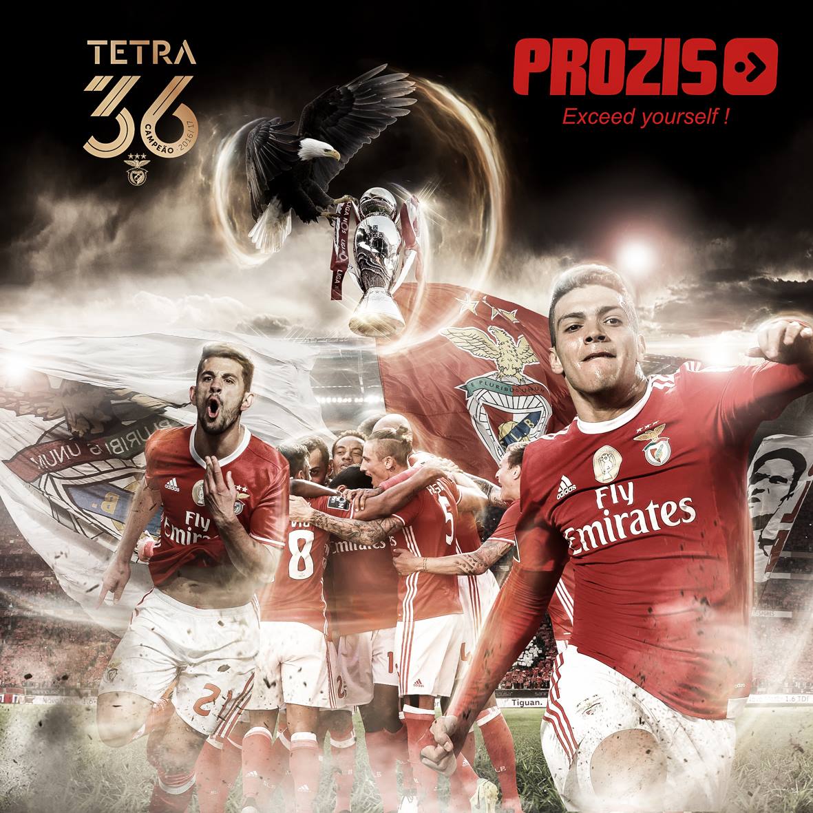 Afonso Fonseca (afonsokiakas24) profile | Padlet