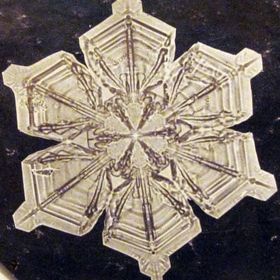 Amy Spillane (aspillane) profile | Padlet