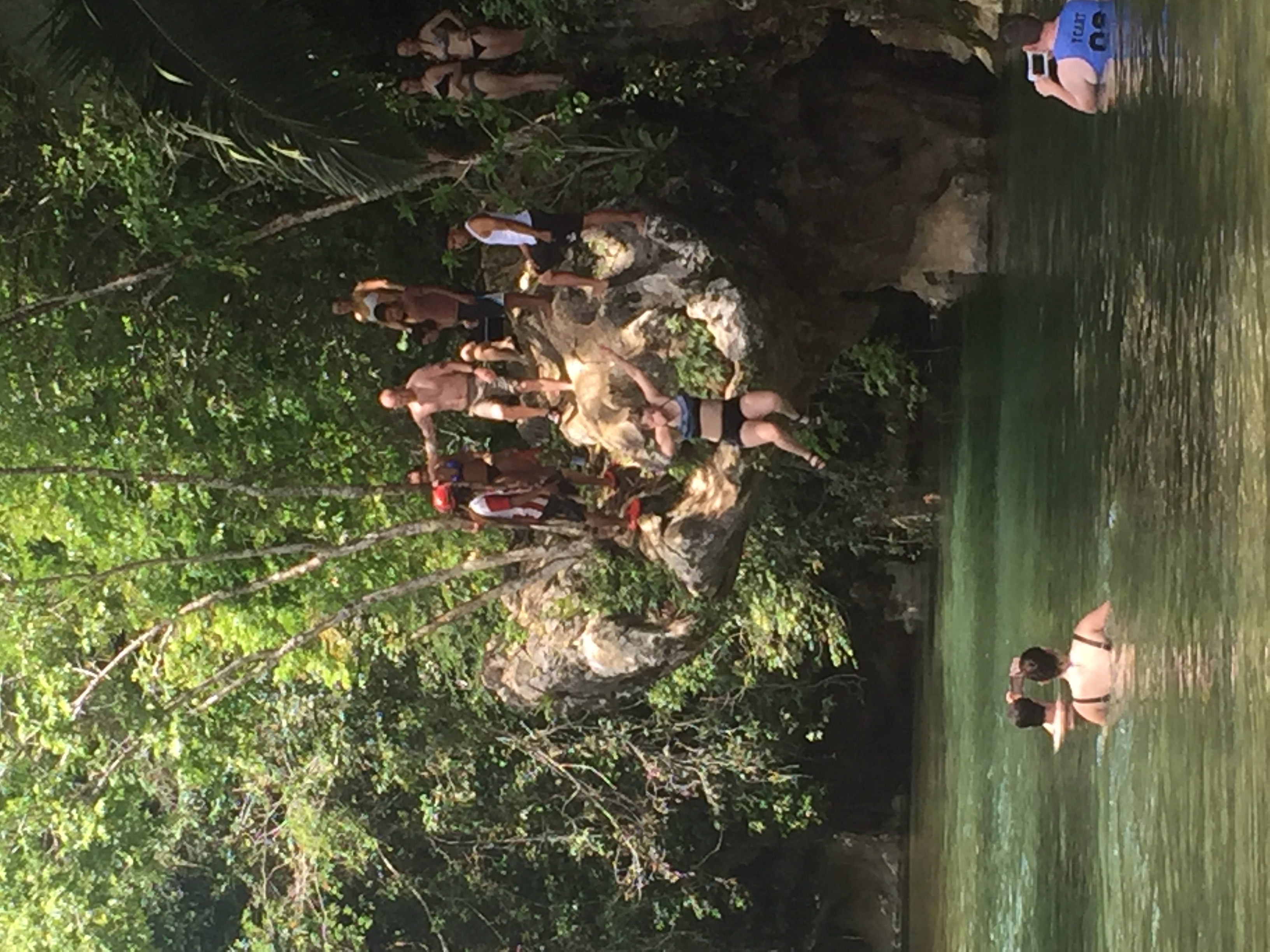 Haley Barrett (HaleyKBarrett) profile | Padlet