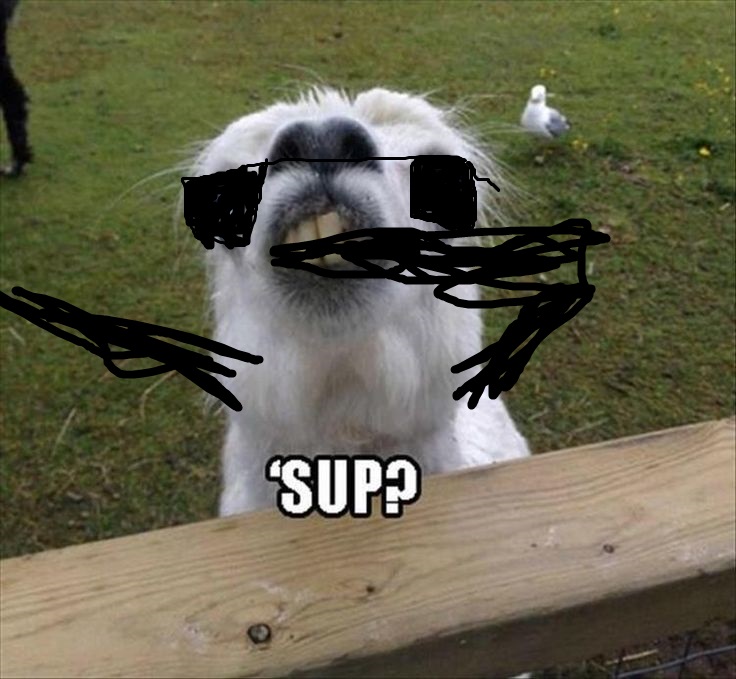 Rasmus Egede (hackerboy) profile | Padlet