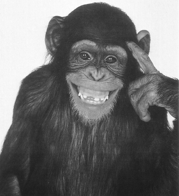 4$hr@fF (iamashraff) profile | Padlet