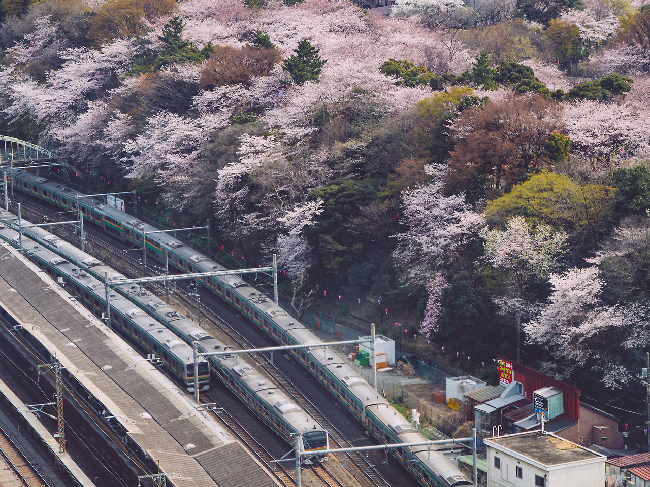 Mari Endo (zetsubousei) profile | Padlet