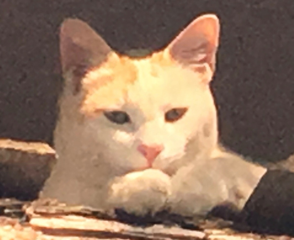 baird_marie (baird_marie) profile | Padlet