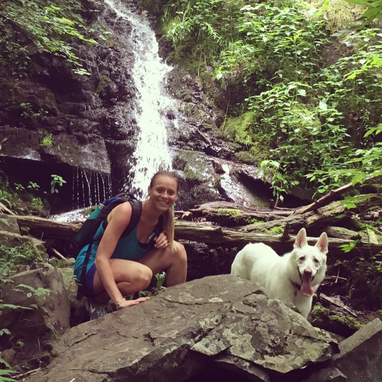 Heidi Henson (hensonh) profile | Padlet