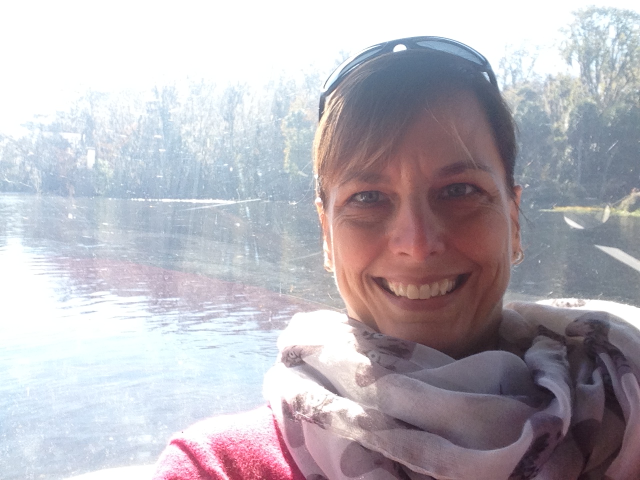 Michella Kippes (mskippes) profile | Padlet